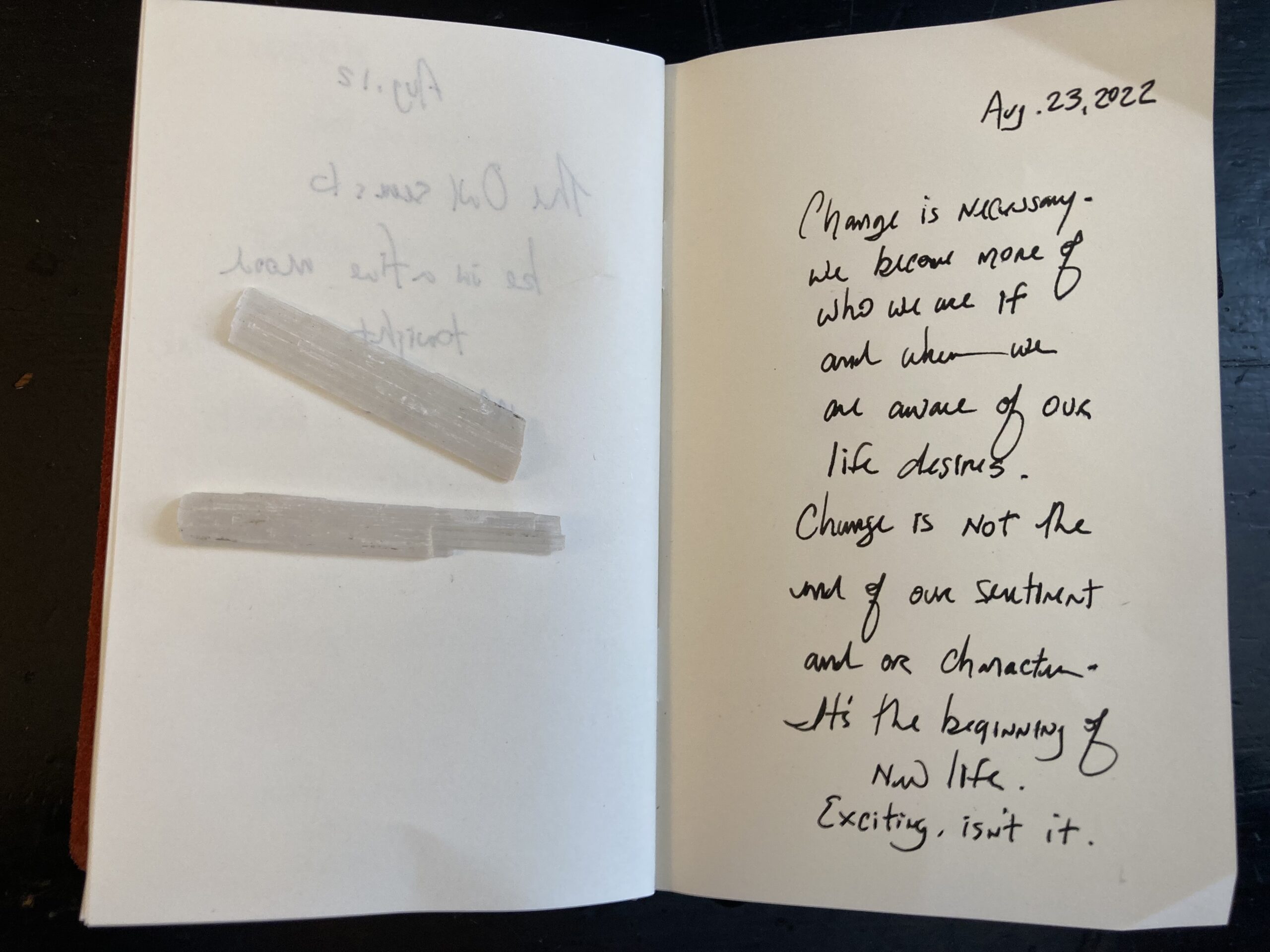 Lisa Roman – Intuitive, healer and breath work practitioner